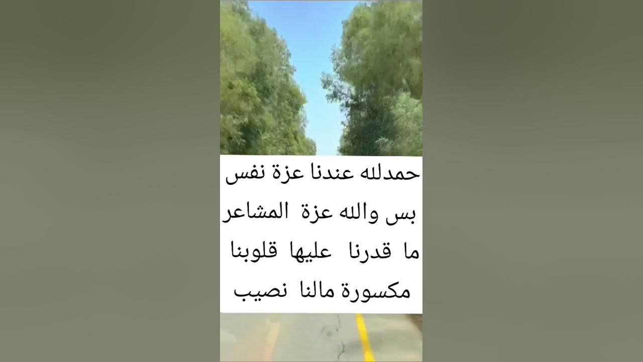 قلوبنا غرقانا بالحب شوقحبرومانسيهعشقفراقلقىحنينحضنولهدنياعتبفرحقساوه Youtube