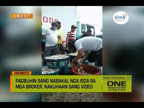 One Western Visayas: Hakupay sang Isda sa Banyera sa Iloilo Fish Port ...