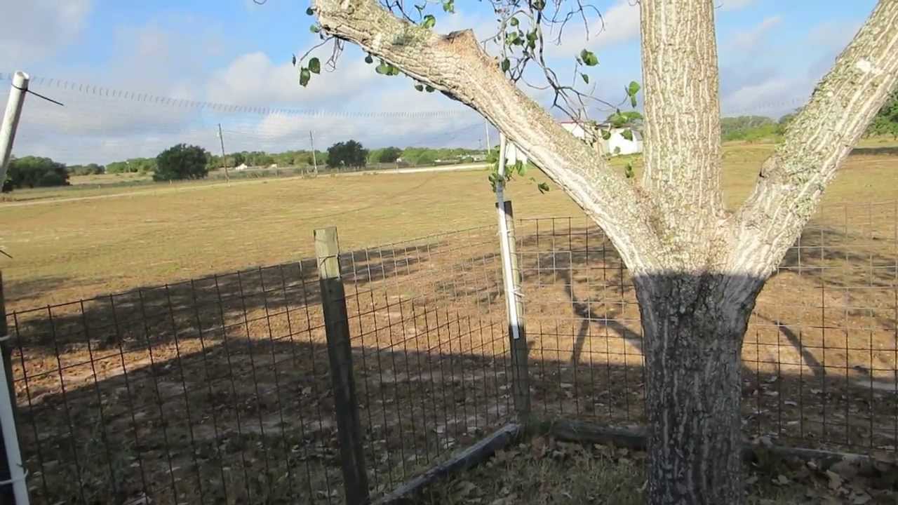Fence Extension - YouTube