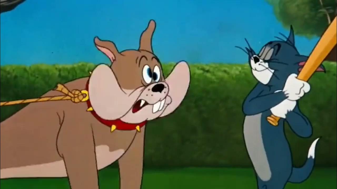 ميمز تحشيش طن ضحك 😂 ميمز توم وجيري ميمز افلام كارتون ميمز بدون حقوق🖇👍 Youtube