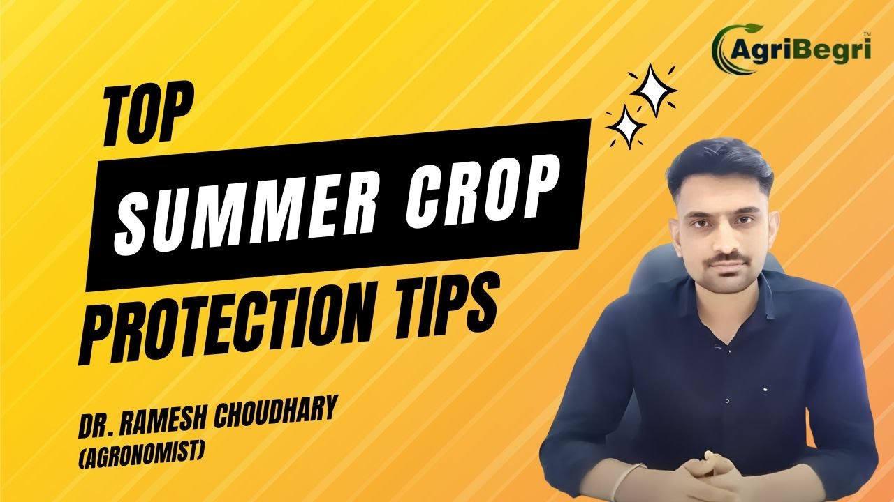 Top Summer Crop Protection Tips - Agribegri Agronomist Dr. Ramesh - YouTube