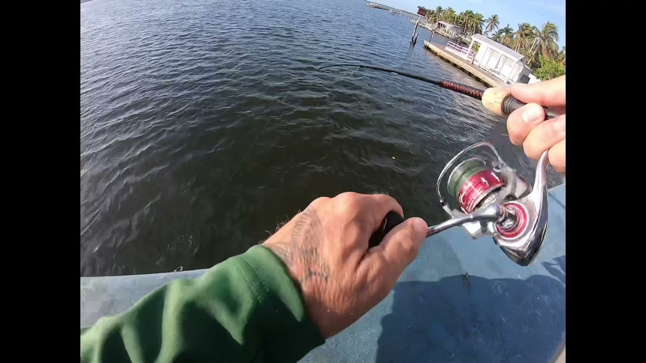 Pier fishing on vacation in Cape Coral off the Matlacha Bridge - YouTube