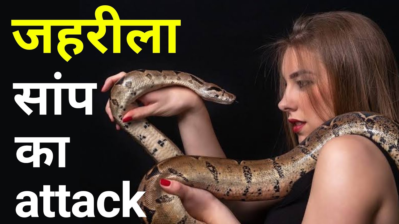 सांप काटले तो क्या करना चाहिए? how to survive snake bite - YouTube