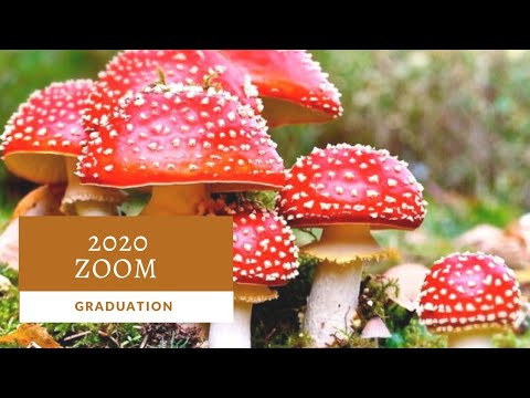 2020 KINDERGARTEN ZOOM GRADUATION PARTY,ONLINE - YouTube