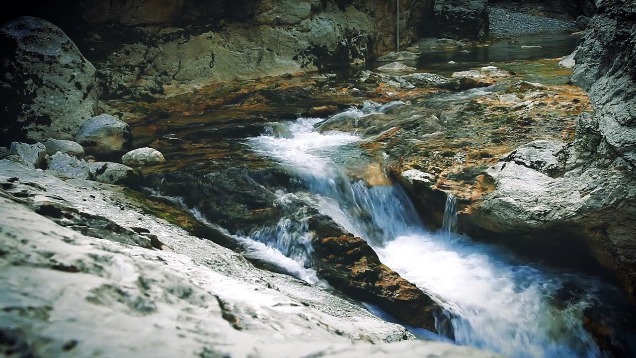 「清流の音色 」青々と茂る石に水が流れる音 / Relaxing Nature Sounds - Babbling Brook Flowing ...