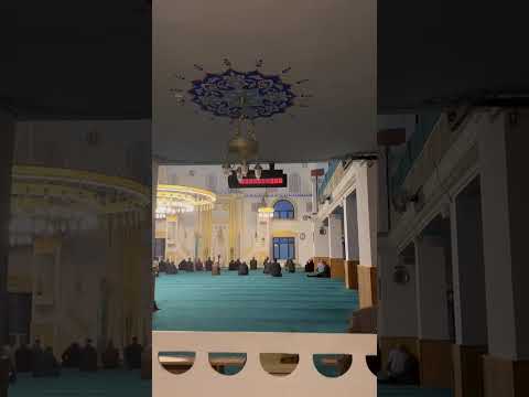 Lev Enzelna ( لو انزلنا )  - Akşam Namazı Sonrası Kısa bir Aşir - Muhammed Salih Okuyan 
