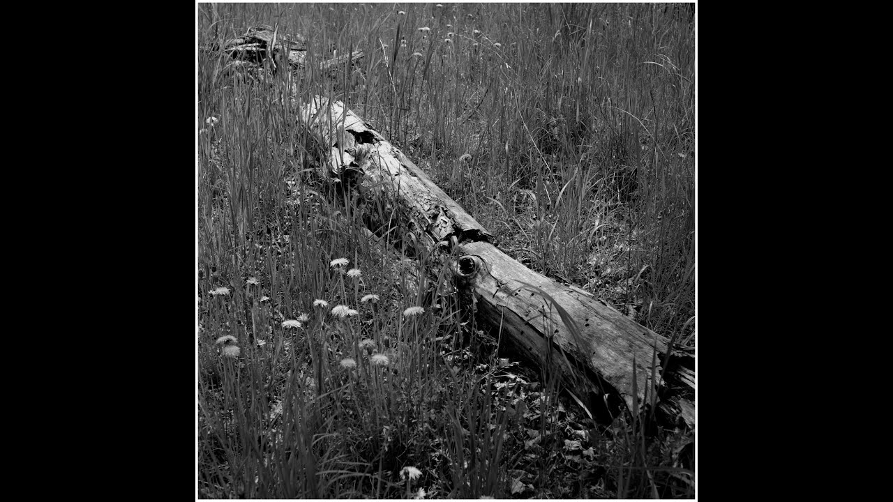 Pentax K1 Mark II ~ Making Photography Fun Again