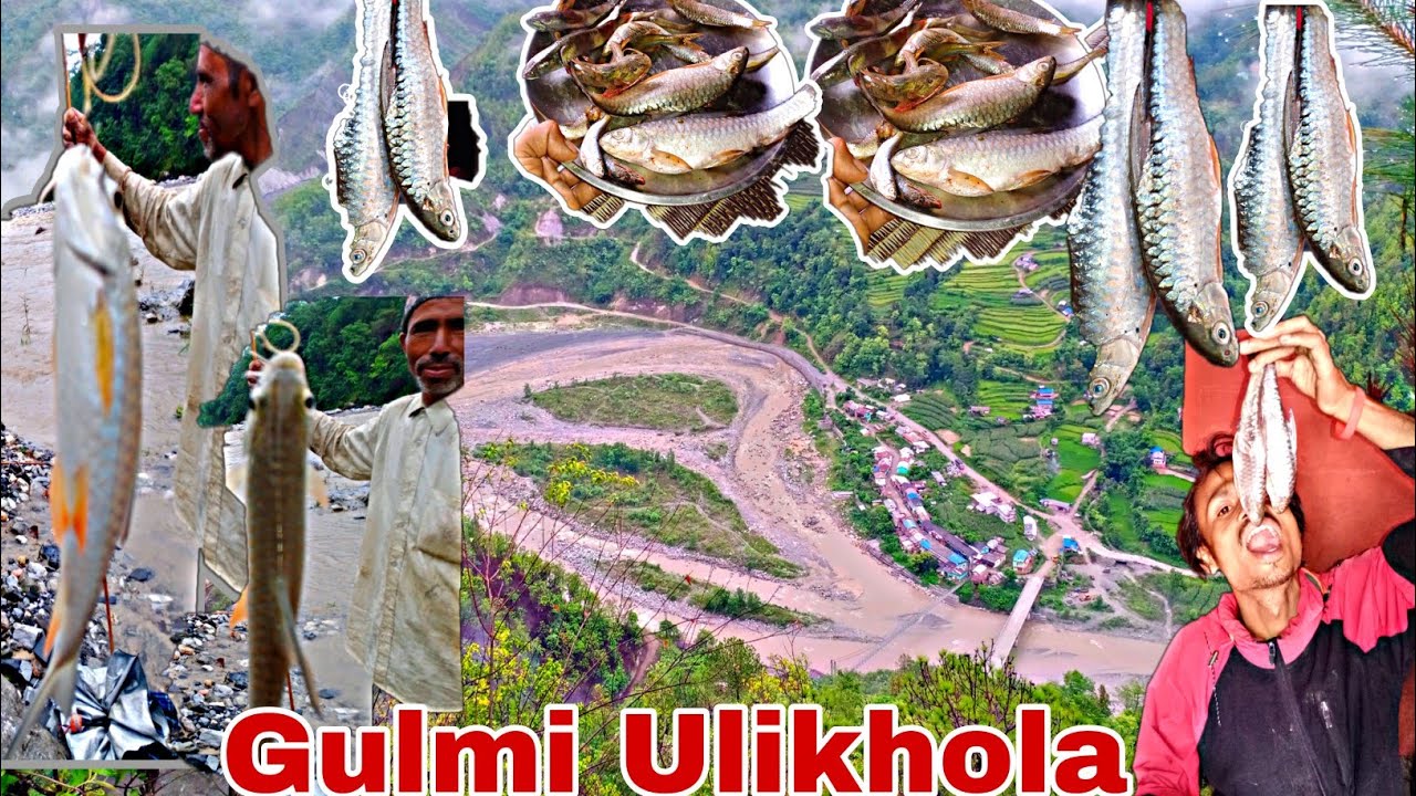 Gulmi Ulikhola Badighat fishing and cooking || Nepali village life vlog ...