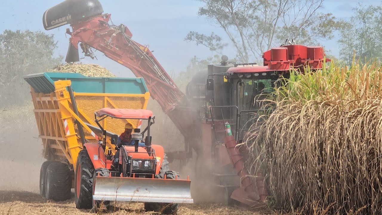 ตัดได้รวดเร็วทันใจมากCASE A9000 ปะทะ คูโบต้าM108s - YouTube