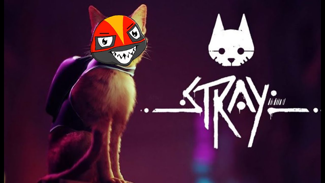 IMMA KITTY!!!!! Stray Part 1! - YouTube