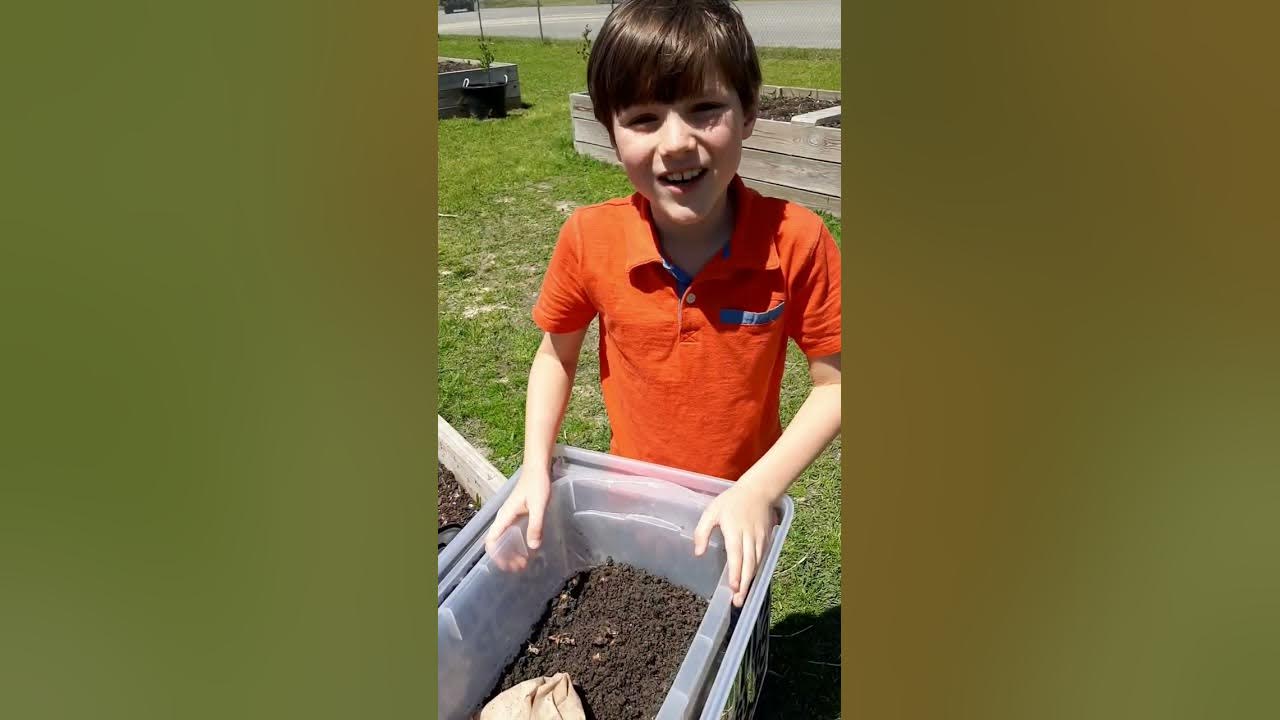 The Vermi Kids Spring 2023 STEM YouTube the-vermi-kids-spring-2023-stem-youtube