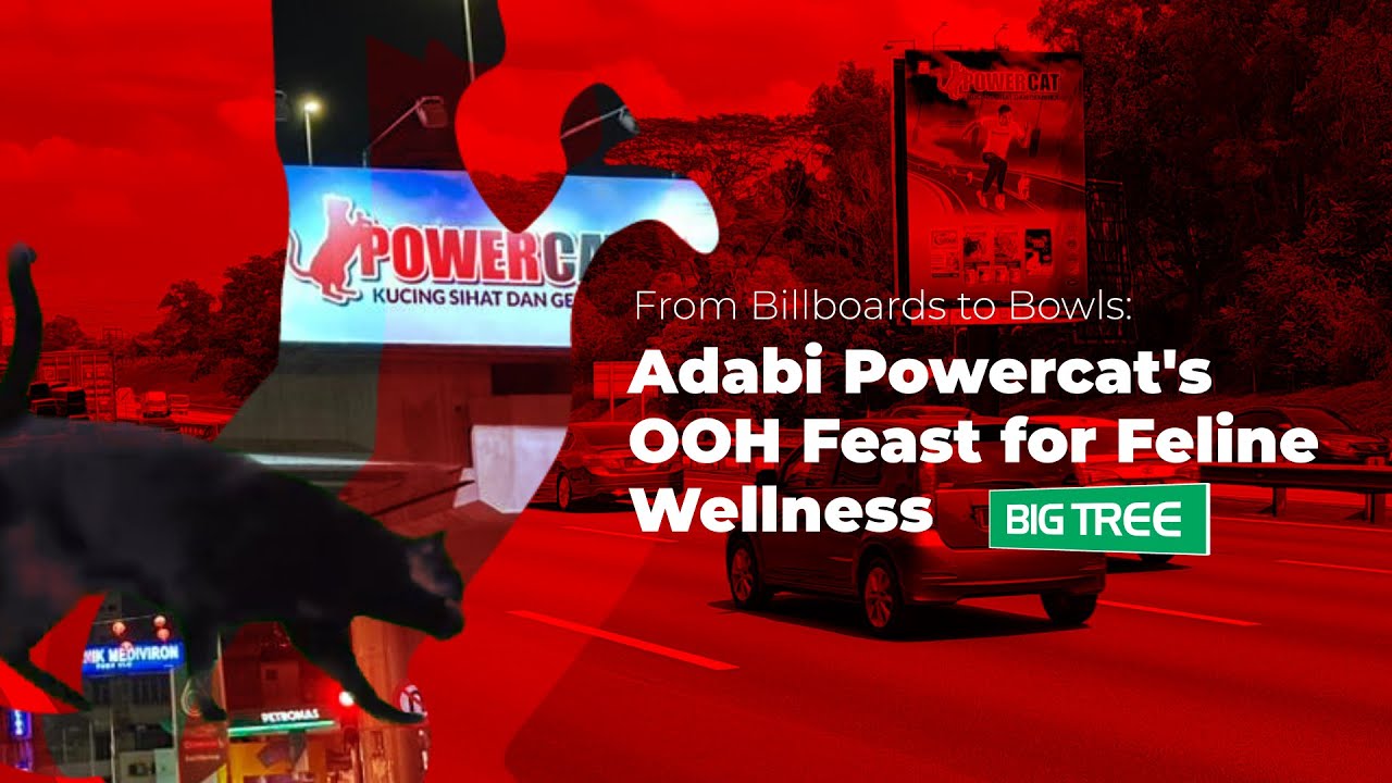 From Billboards to Bowls: Adabi Powercat's OOH Feast for Feline ...