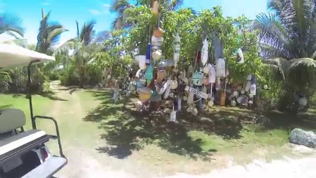 The famous Bobber tree - YouTube