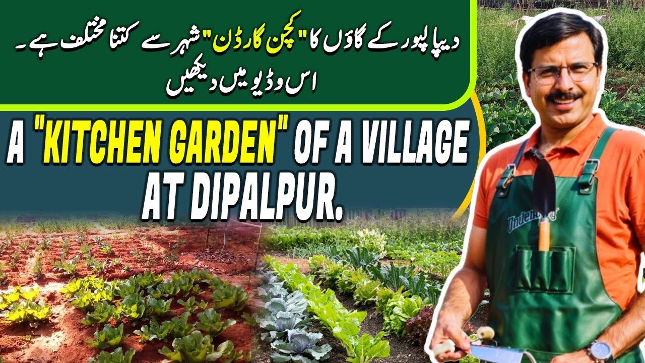 A "KITCHEN GARDEN" of a village, at Dipalpur. | Gardening With Javed ...