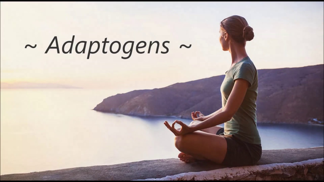 Adaptogens How Do They Work - YouTube