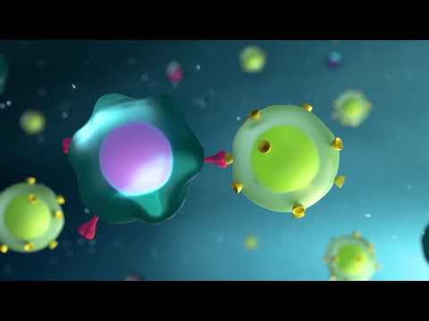 How do Covid-19 vaccines work? Animation.