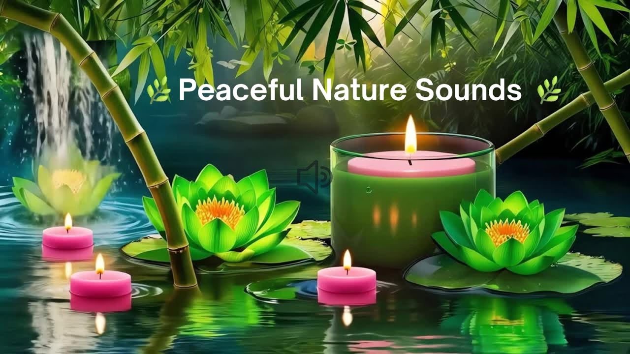 🌿🕯️Tranquil Bamboo Waterfall & Candle Glow | Peaceful Nature Sounds 🌿🕯️ ...