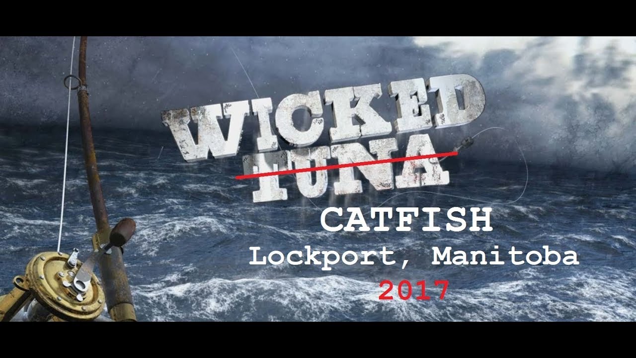 Wicked Catfish of Lockport Manitoba 2017 - YouTube