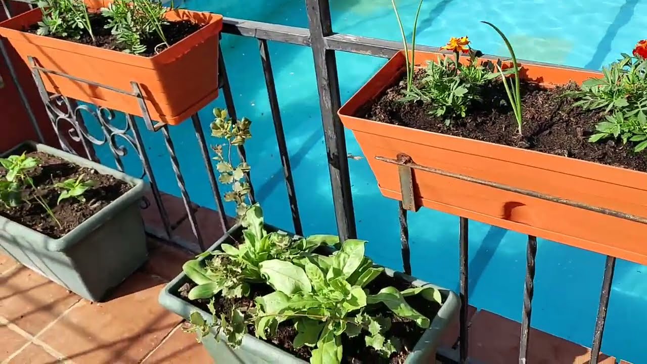 Huerto en azotea - YouTube
