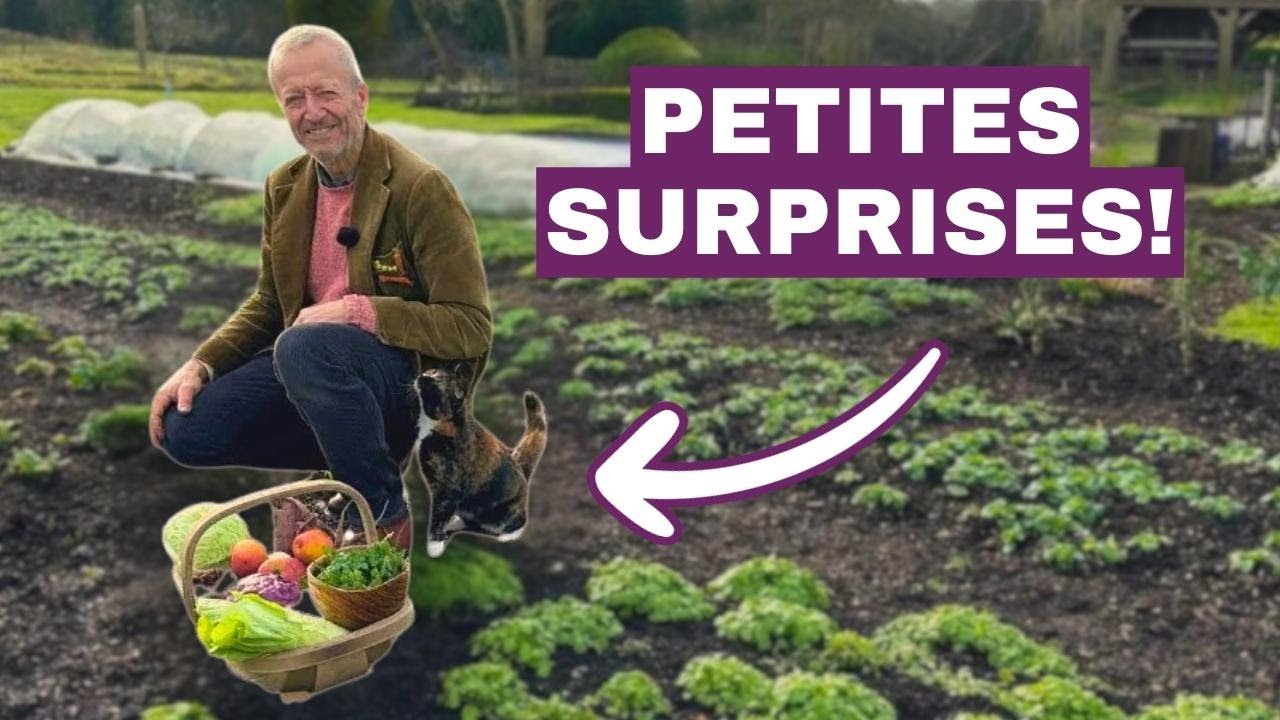 Soleil de janvier pour votre visite de Homeacres - YouTube