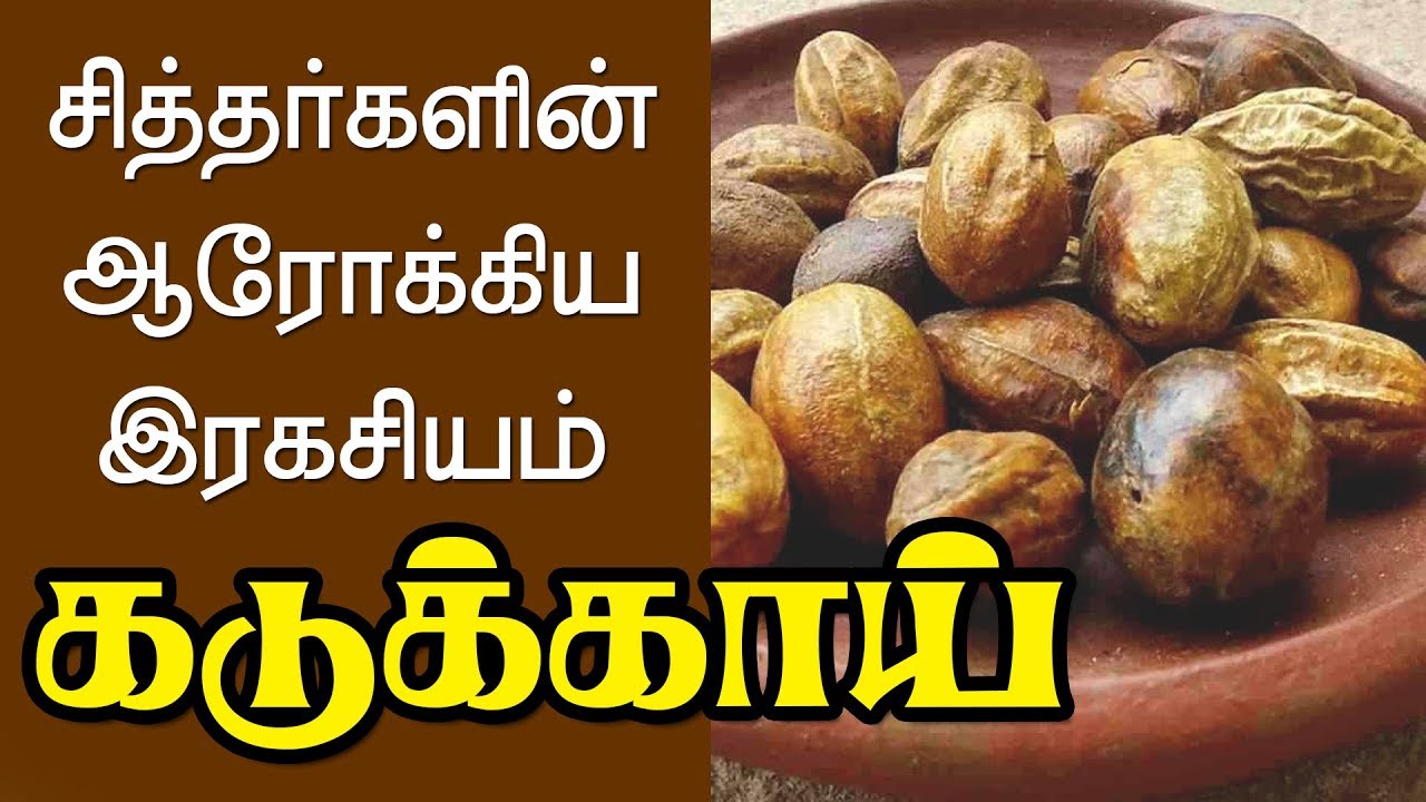 கடுக்காய் மருத்துவம் / Health Benefits of Kadukkai / Haritaki Powder ...
