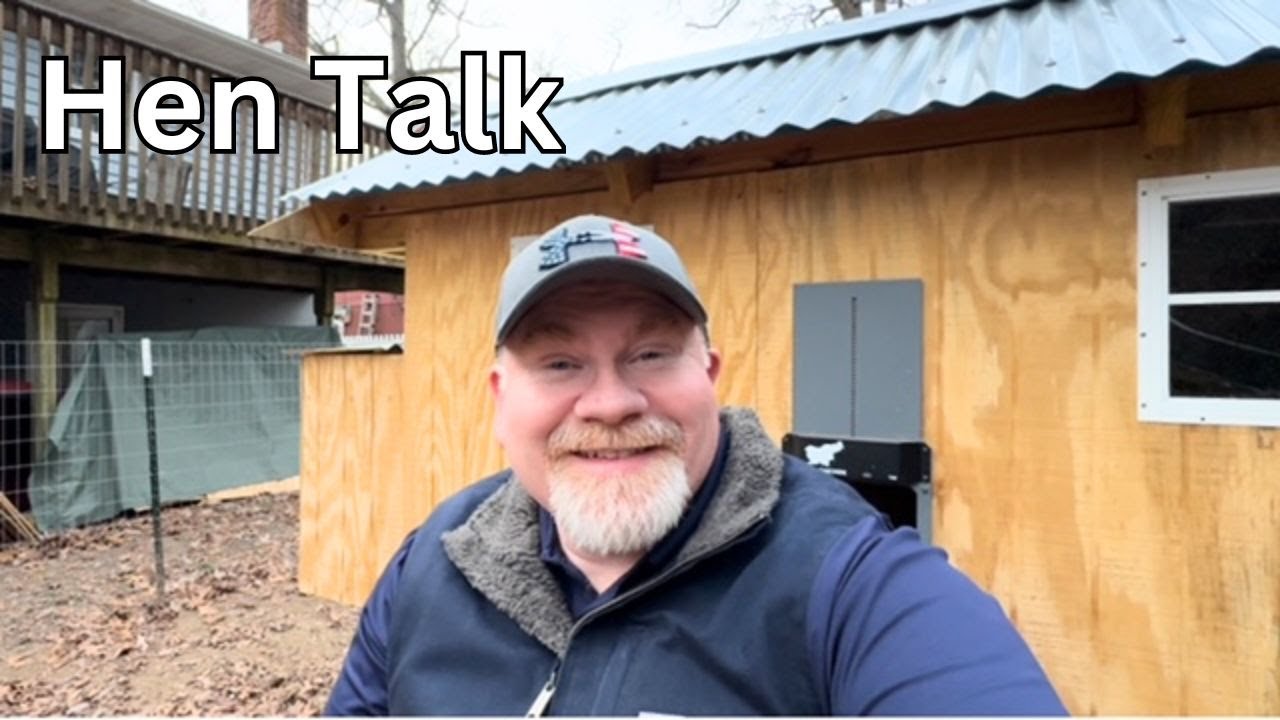 Hen talk. - YouTube