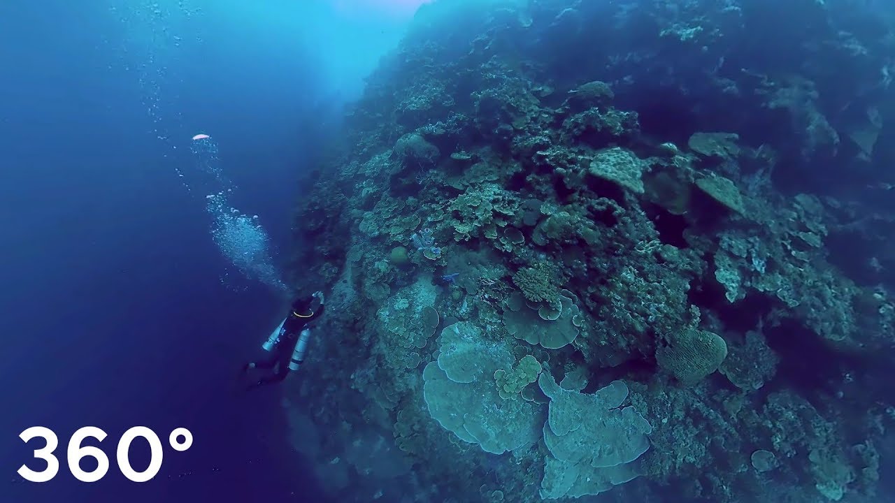 Moalboal dive site "TONGGO SANCTURY" scuba diving look around!! 360° VR ...