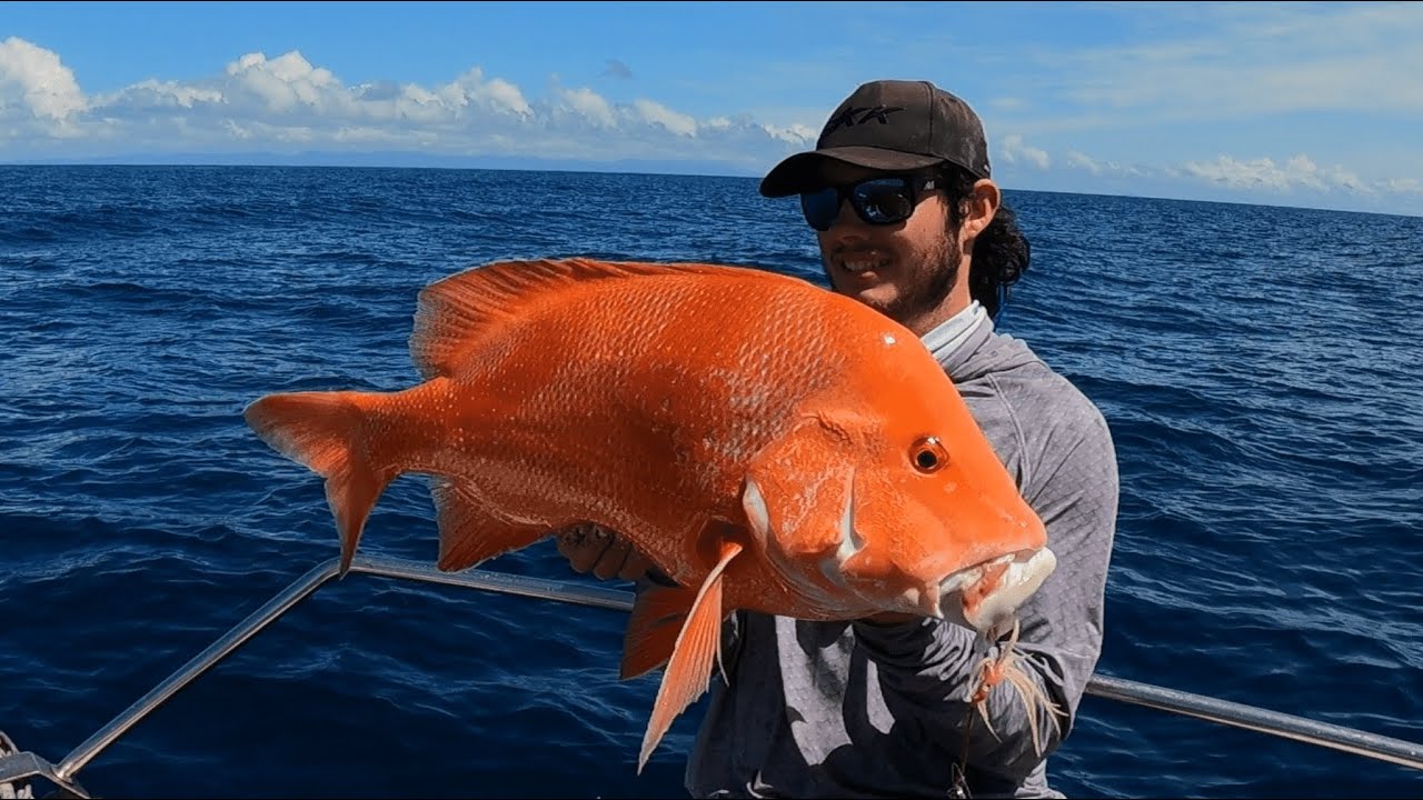 Race Against the SHARKS!!! Jigging the Shelf for Dogtooth Tuna and Reds ...