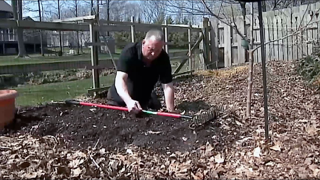 Why gardening too early could hurt your spring plants - YouTube