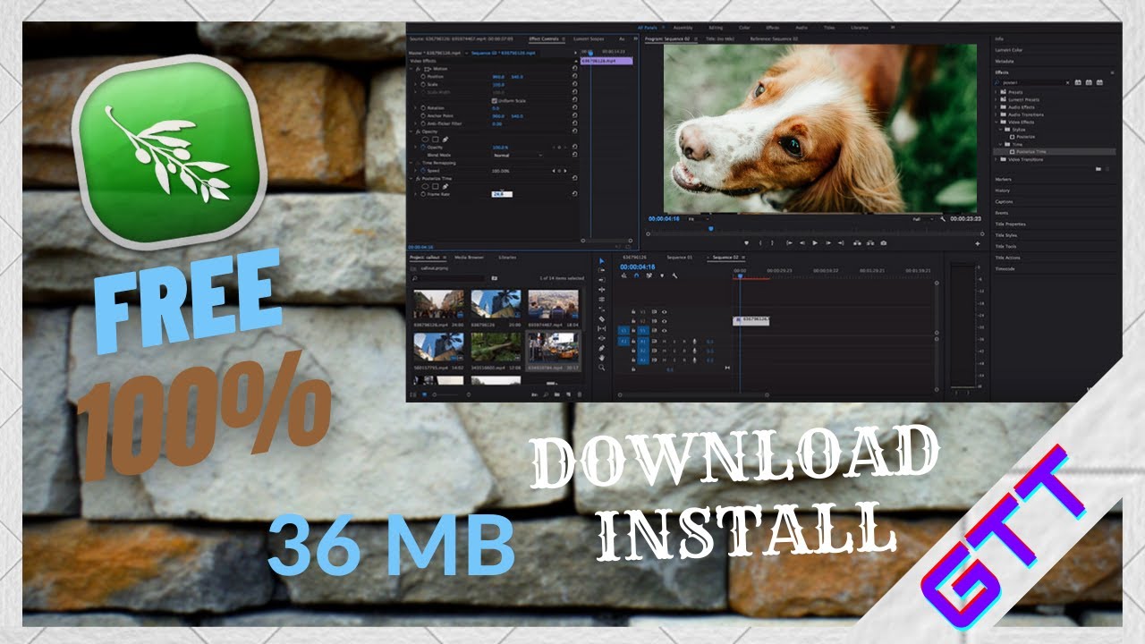 OLIVE / download and install for free only 36 MB for windows 10 also ...