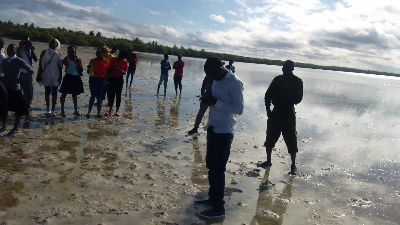 Mida Creek Birds Education - YouTube