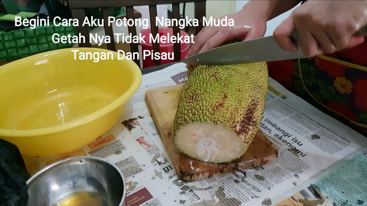Cara Senang Potong Nangka Muda Tidak Melekat Getah nya Di Jari Tangan ...