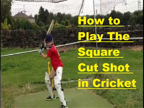 #1- How to Play the Square Cut shot in Cricket - YouTube