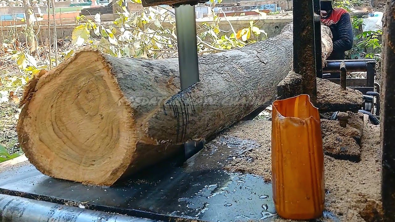 Galih Kayu Jati Makam‼️Langsung Di Rajang Gergaji Bandsaw Rakitan - YouTube
