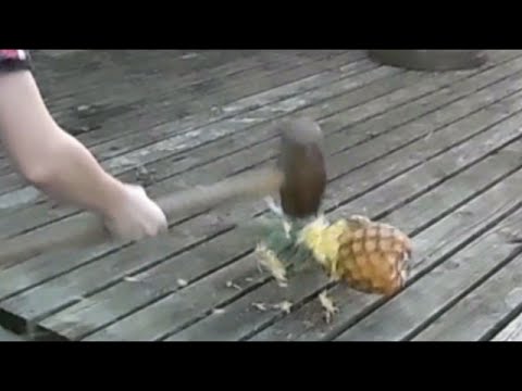 SMASHING PINEAPPLES - YouTube