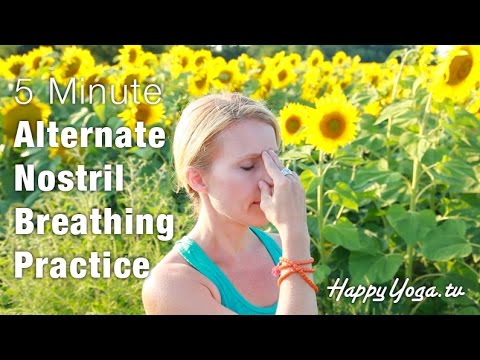 Breath Practice | 5 Minute Alternate Nostril Breathing | Happy Yoga with Sarah Starr