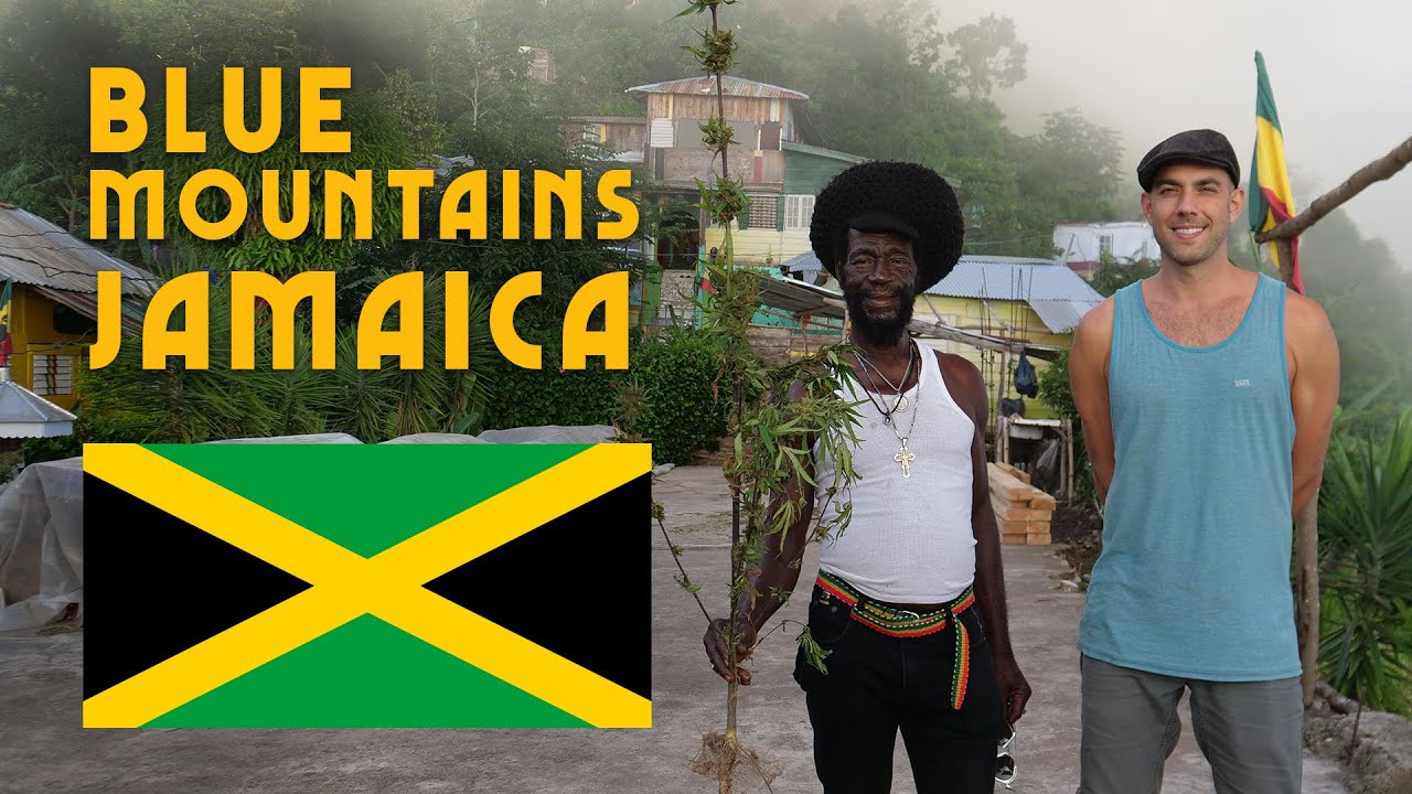 Trip to the Mystical Blue Mountains! Rasta Camp in Jamaica - YouTube