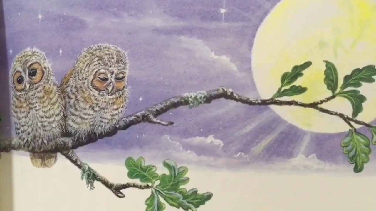 The Brave Little Owl ll Read Aloud Picture Book @Rumah BaCa - YouTube