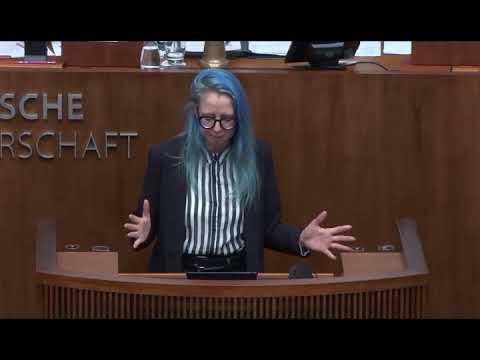 Kai Wargalla - AfD-Verbotsverfahren (Rede) - YouTube
