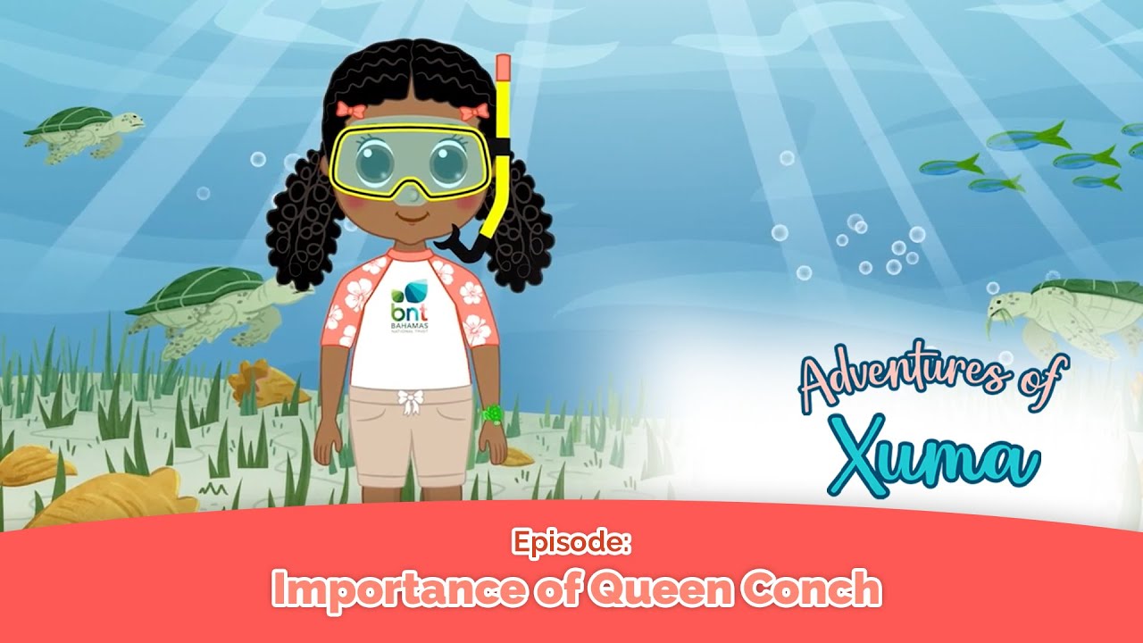 The Adventures of Xuma | Importance of Queen Conch - YouTube