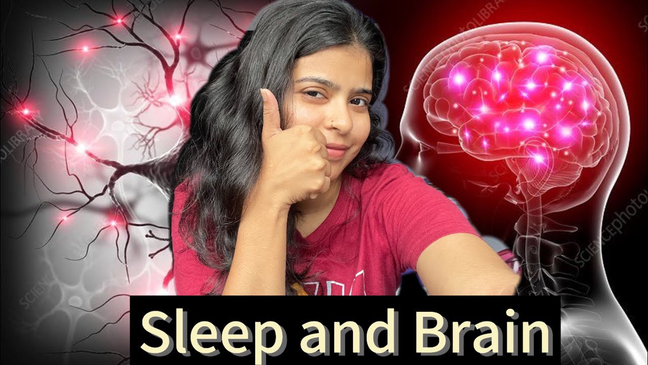 Sleep and Brain | How brain gets cleaned while we sleep | Part-1 - YouTube