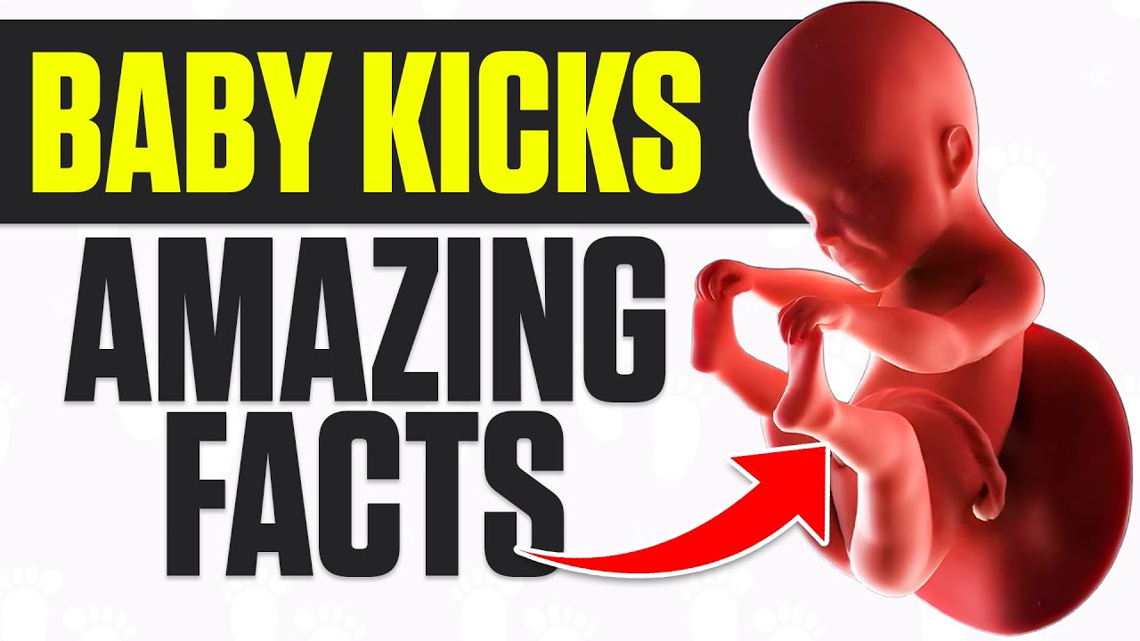 Fascinating Facts About Baby Kicks Inside the Womb - YouTube