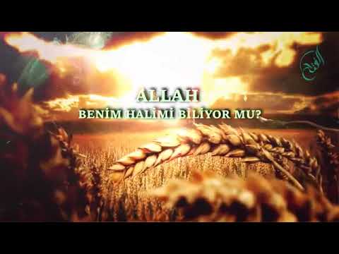 Allah'a Teslimiyet. İman ve Tevekkül [Ali Küçük Hoca]