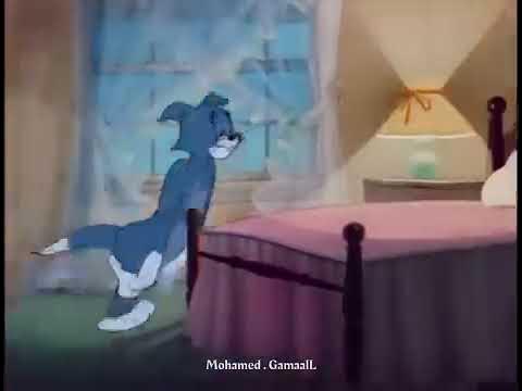 توم رايح ينام ميم تمب - YouTube