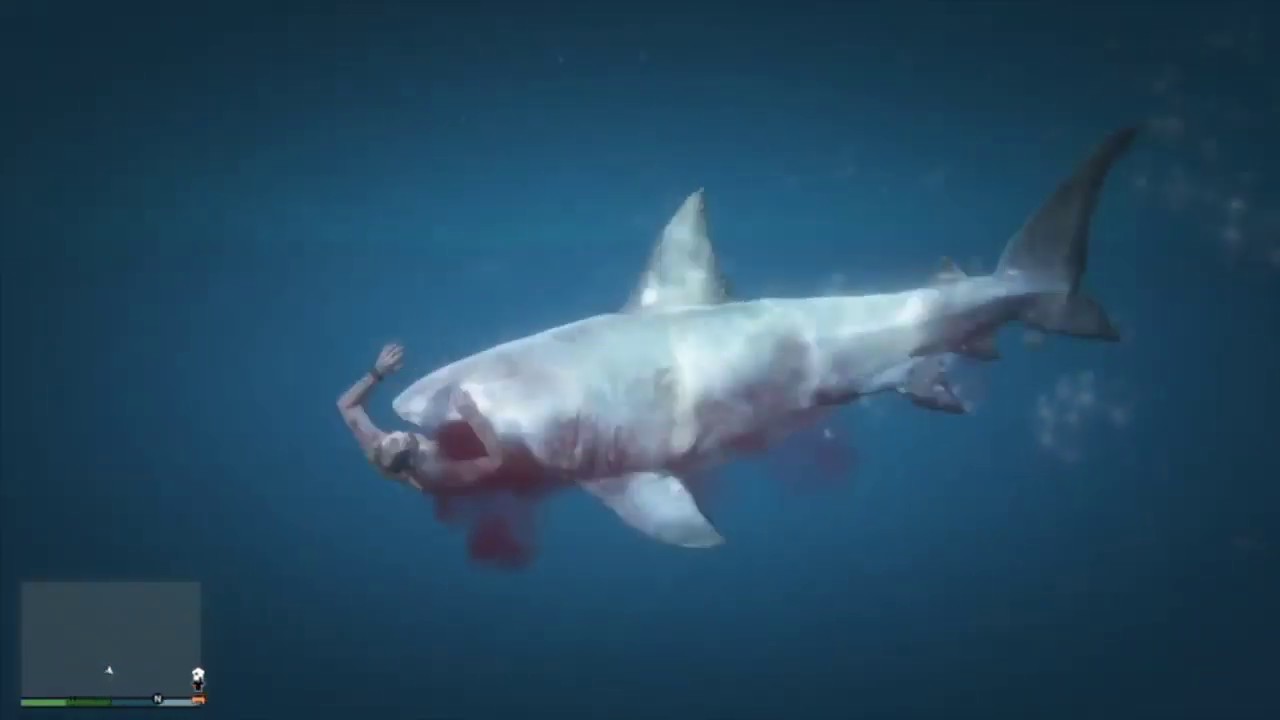 Can you defeat the shark and escape the map in GTA V - YouTube