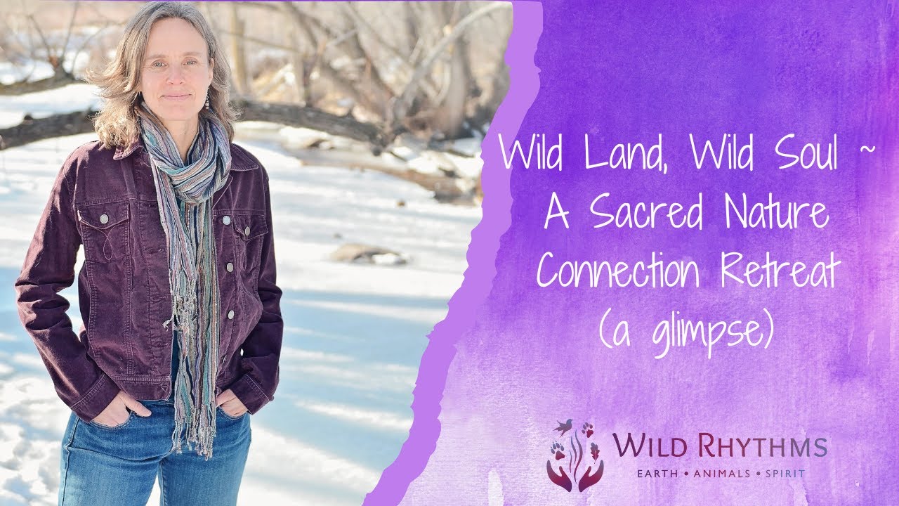 Wild Land, Wild Soul Sacred Nature Connection Retreat - YouTube