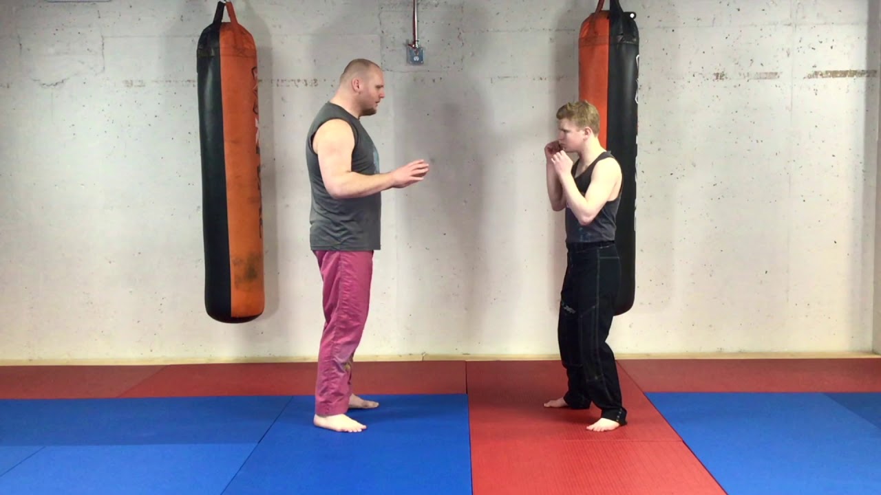Heiho Dojo Tracy's Kenpo Purple #1 Striking Mace (Extended Version ...