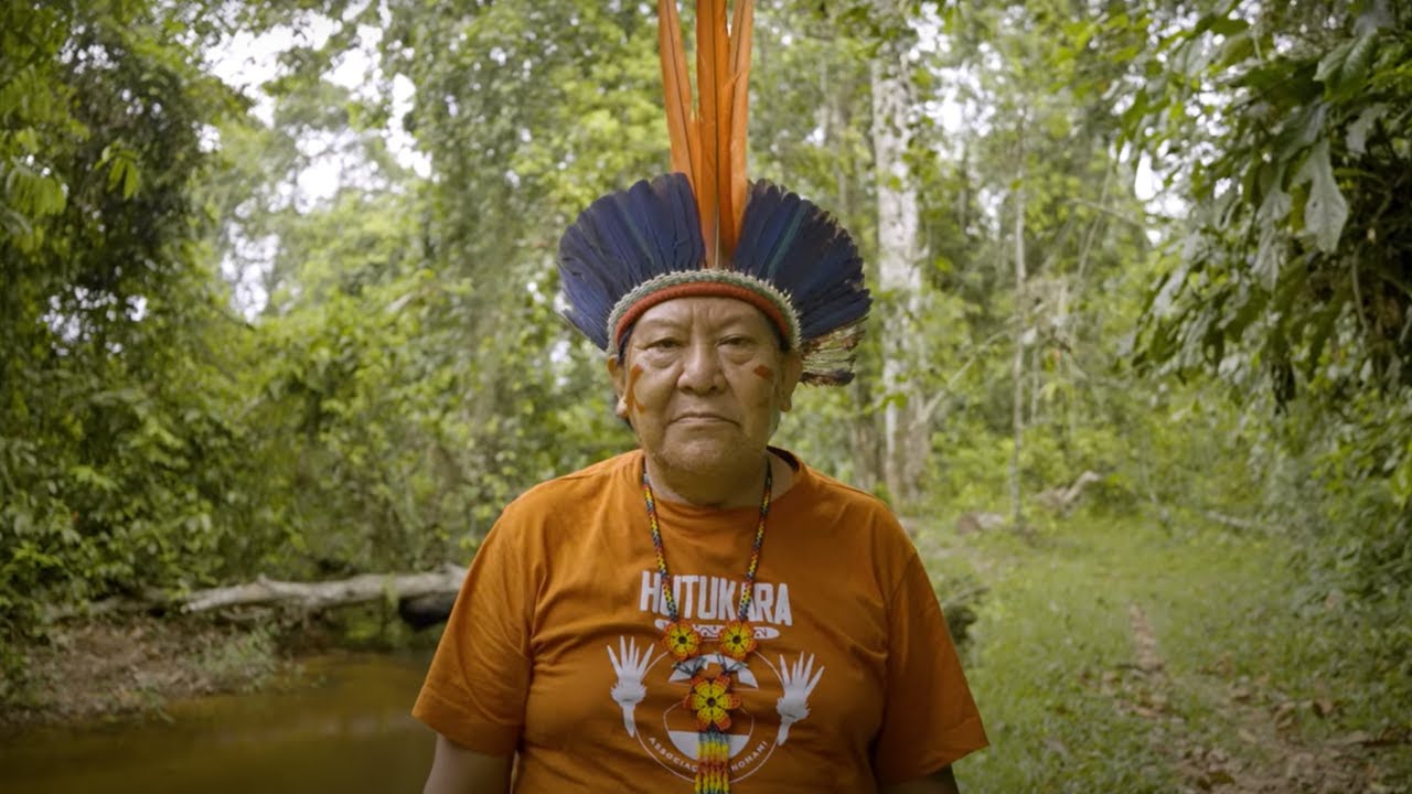 Indígenas Yanomami e Ye’kwana respondem: Como recuperar a floresta ...