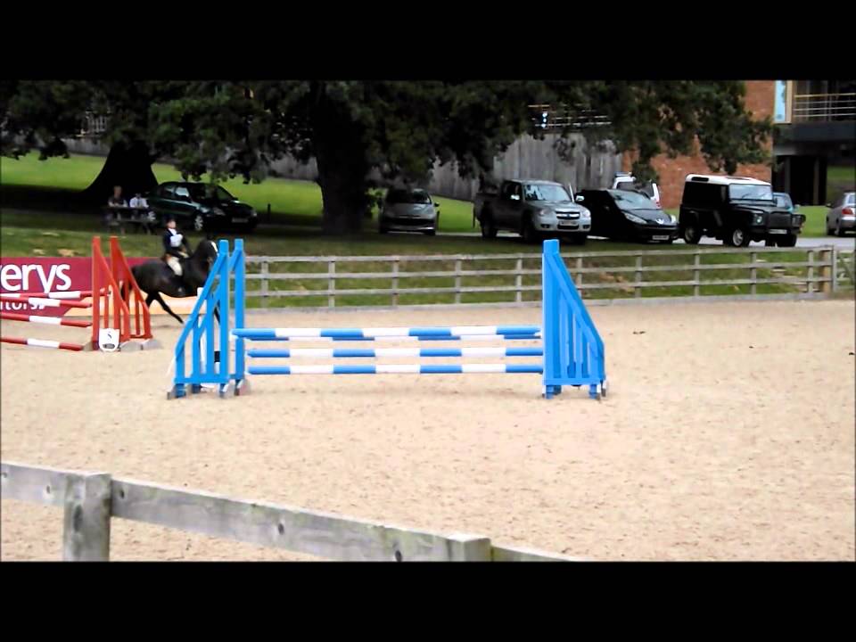 90cm, Tiverton Hunt Pony Club ODE, Bicton Arena - YouTube