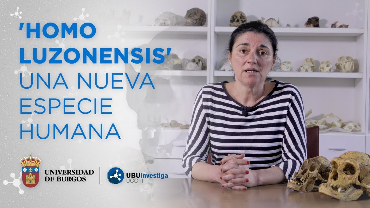 El descubrimiento del 'Homo luzonensis' explicado por una investigadora ...